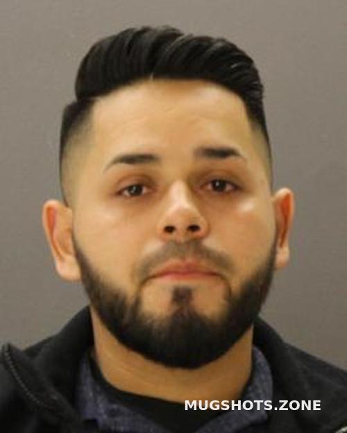 ROJAS JOEL 11/12/2024 - Dallas County Mugshots Zone