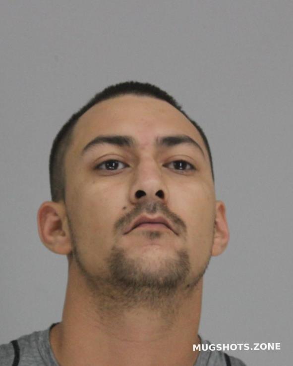 RAMIREZ FELIPE 11/12/2024 - Dallas County Mugshots Zone