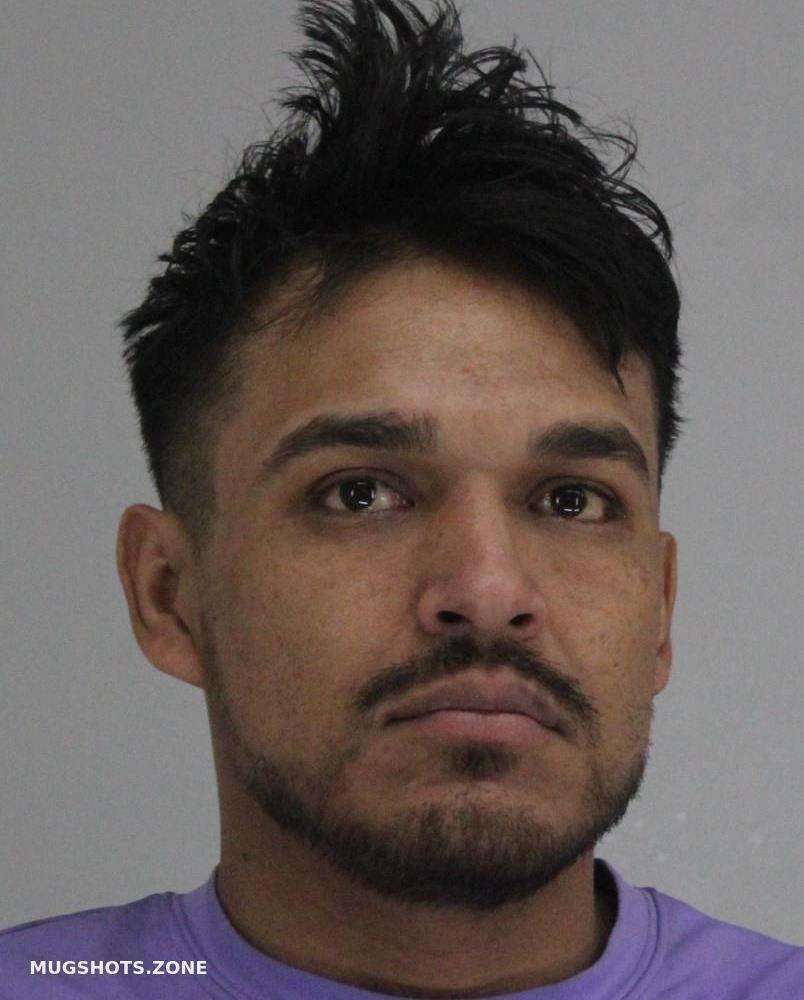 ROLDAN-ACEVEDO JONATHAN 11/13/2024 - Dallas County Mugshots Zone
