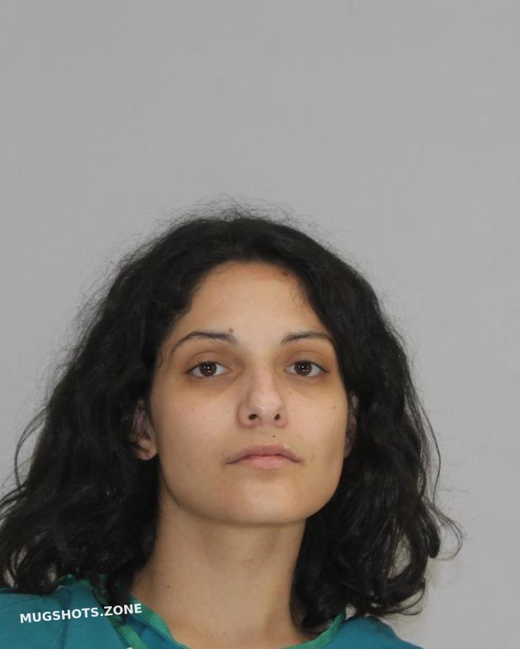 CANTU CHRISTINA 11/16/2024 - Dallas County Mugshots Zone