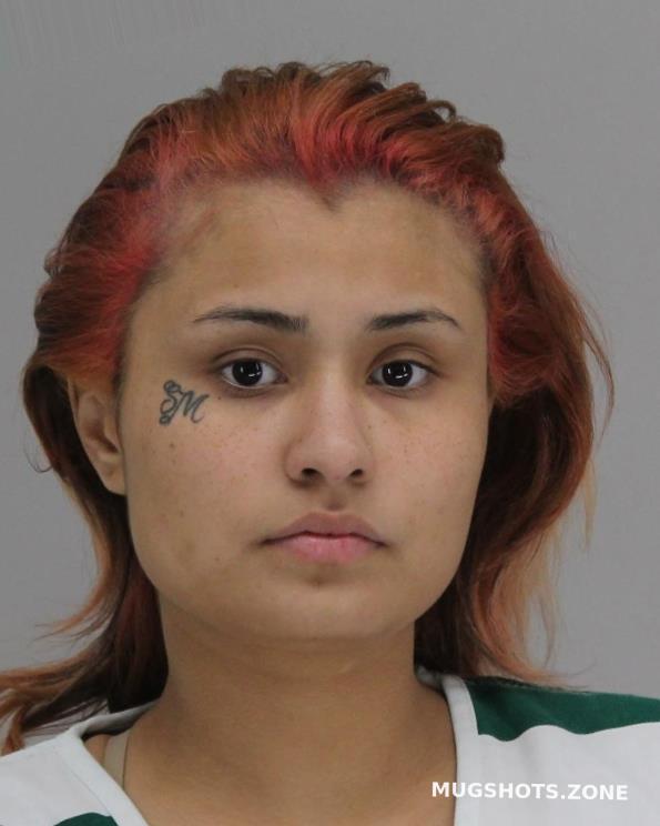 TORRES VANESSA 11/19/2024 - Dallas County Mugshots Zone