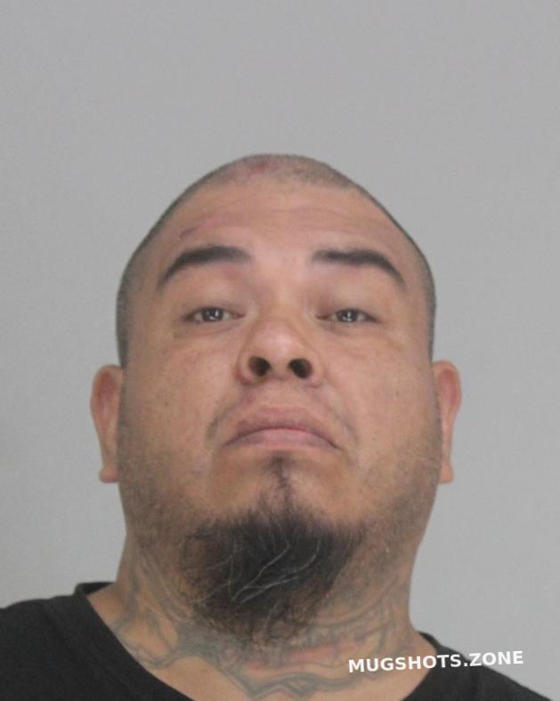 GATICA MARK 11/26/2024 - Dallas County Mugshots Zone
