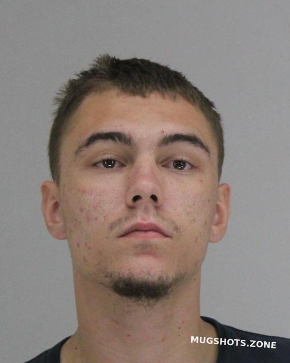 RINEY DAVID 11/29/2024 - Dallas County Mugshots Zone RINEY DAVID 11/29/2024 - Dallas County Mugshots Zone