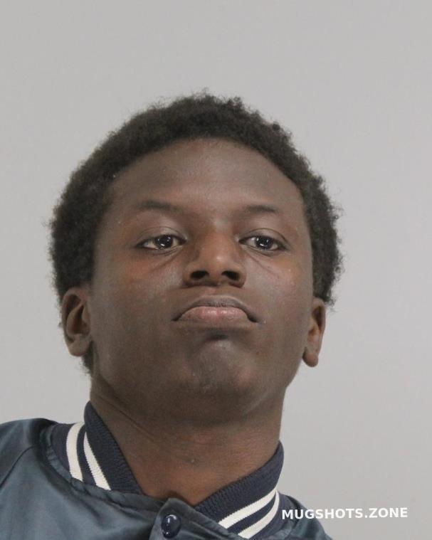 LEE MICHAEL 11/29/2024 - Dallas County Mugshots Zone