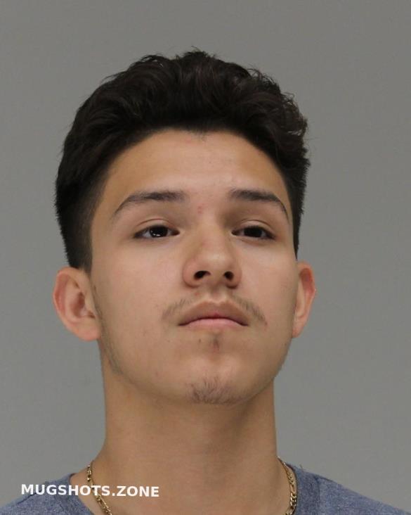 ARANGUA DANIEL 12/10/2024 - Dallas County Mugshots Zone