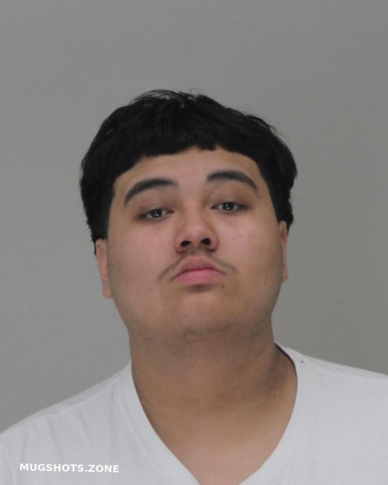 DELGADO ANTHONY 12/16/2024 - Dallas County Mugshots Zone