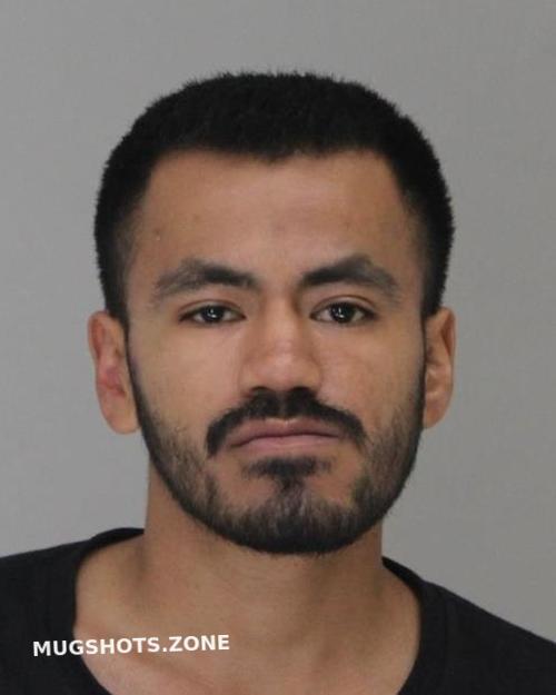 INGA DOMINICK 12/21/2024 - Dallas County Mugshots Zone