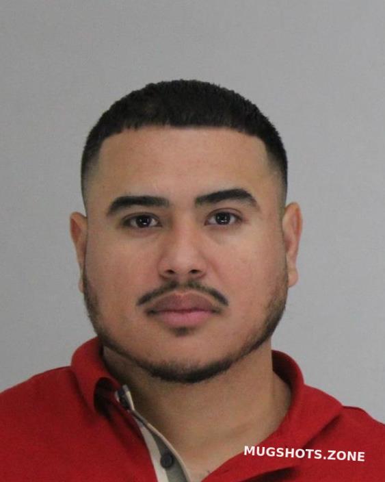 REYES AARON 12/21/2024 - Dallas County Mugshots Zone