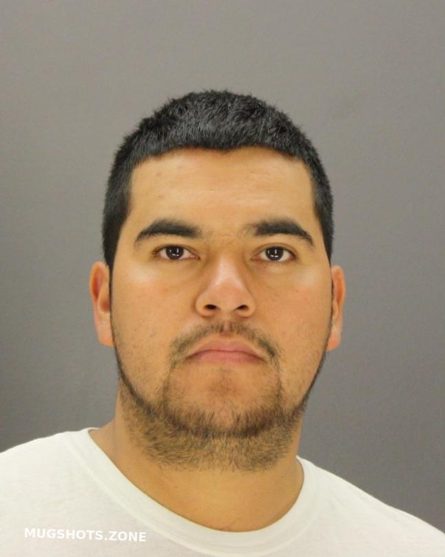 RIOS CASTILLO 12/22/2024 - Dallas County Mugshots Zone