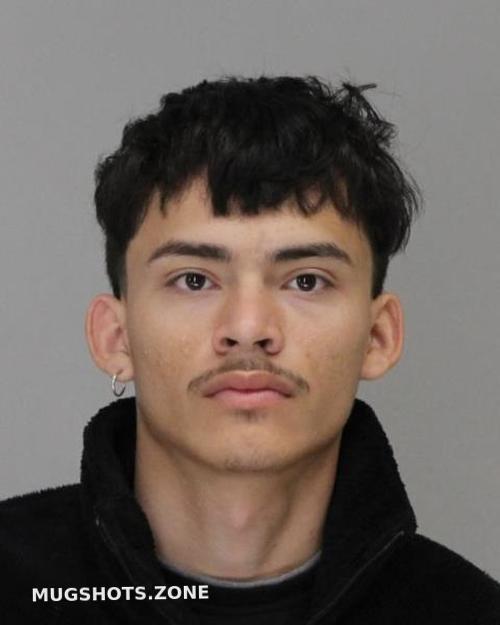 RENDEROS ANGEL 12/24/2024 - Dallas County Mugshots Zone