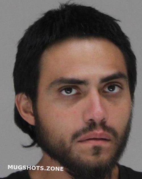 LAZO NICHOLAS 12/24/2024 - Dallas County Mugshots Zone