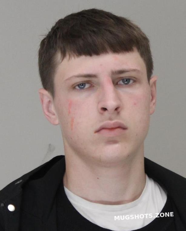 ERWIN SHAUN 12/28/2024 - Dallas County Mugshots Zone