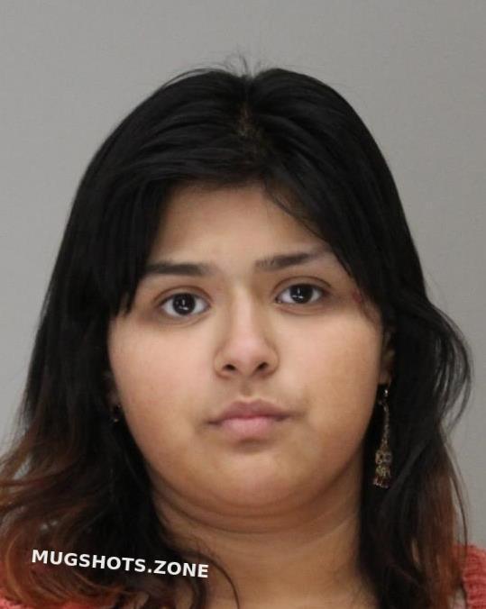 ARREGUIN HILLARY 02/02/2025 - Dallas County Mugshots Zone