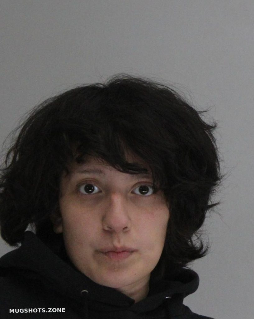 MARTINEZ RAQUEL 02/04/2025 - Dallas County Mugshots Zone