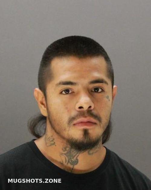 RUIZ LUIS 02/17/2025 - Dallas County Mugshots Zone