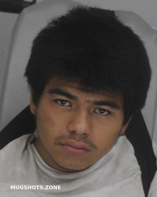 SALINAS IGNACIO 02/27/2025 - Dallas County Mugshots Zone