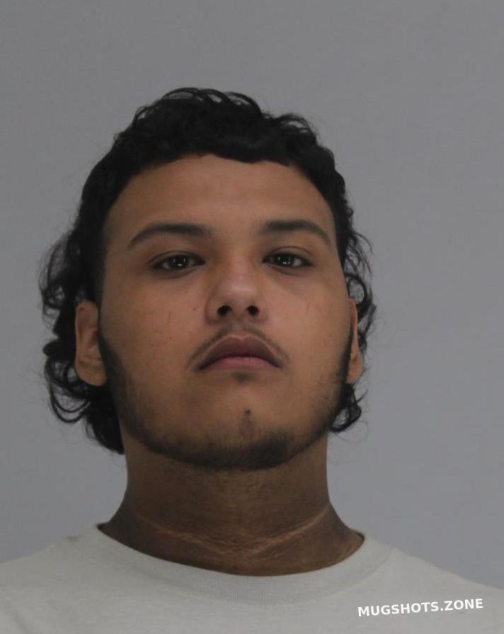 CASTILLO DANIEL 03/03/2025 - Dallas County Mugshots Zone