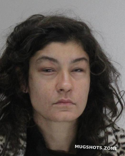 SCHEIDEMAN JULIE 03/15/2025 - Dallas County Mugshots Zone