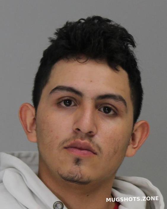 ROJAS JUAN 03/18/2025 - Dallas County Mugshots Zone