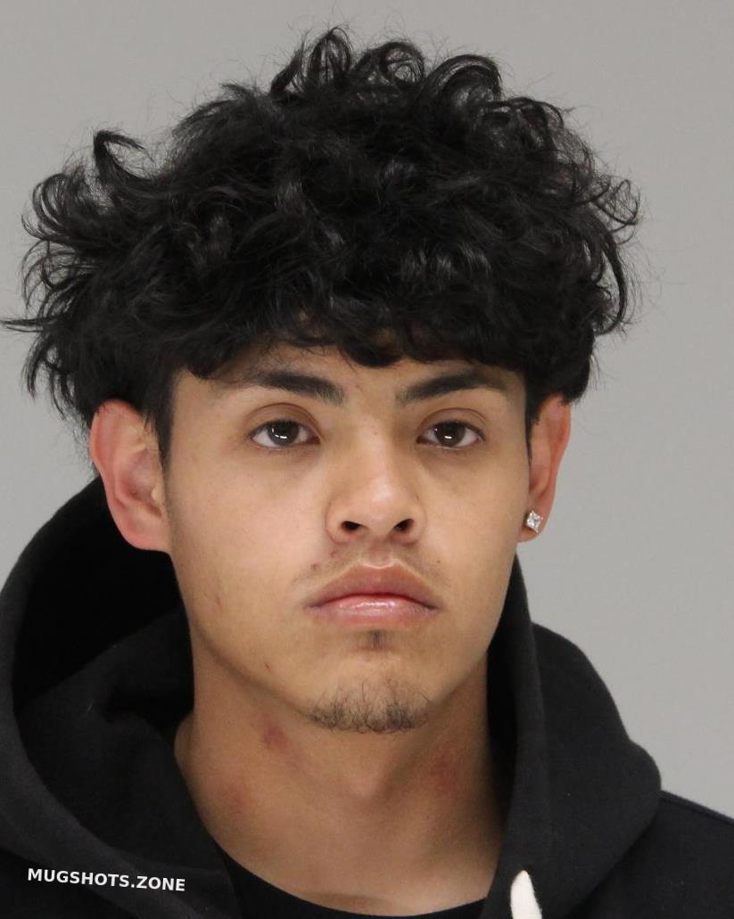 ROJAS GUSTAVO 03/22/2025 - Dallas County Mugshots Zone