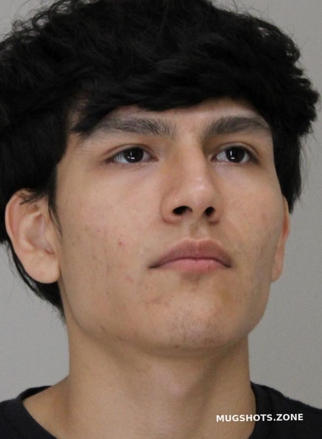 RICO DAYLAN 04/14/2025 - Dallas County Mugshots Zone