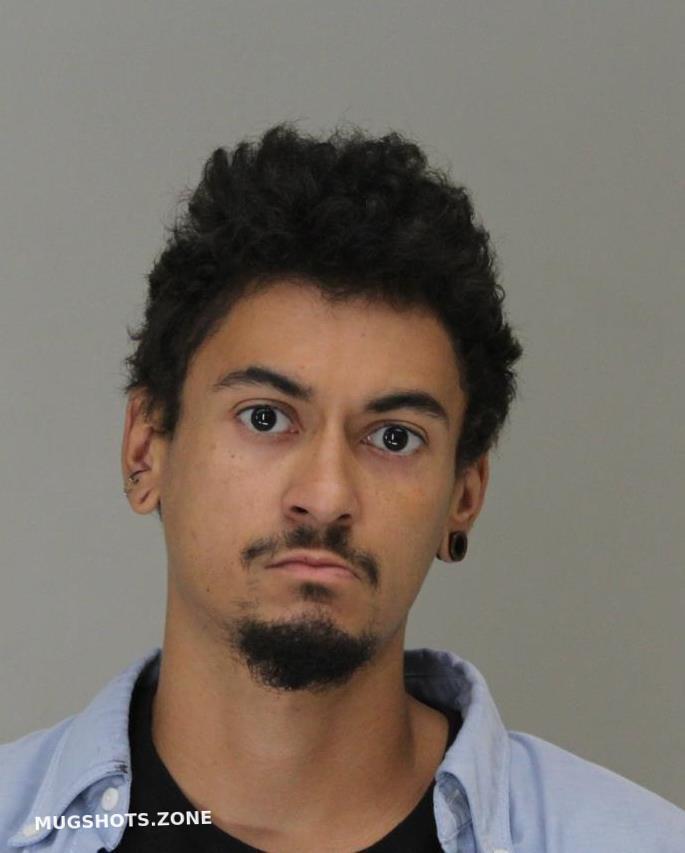 RODRIGUEZ ROMAN 04/15/2025 - Dallas County Mugshots Zone