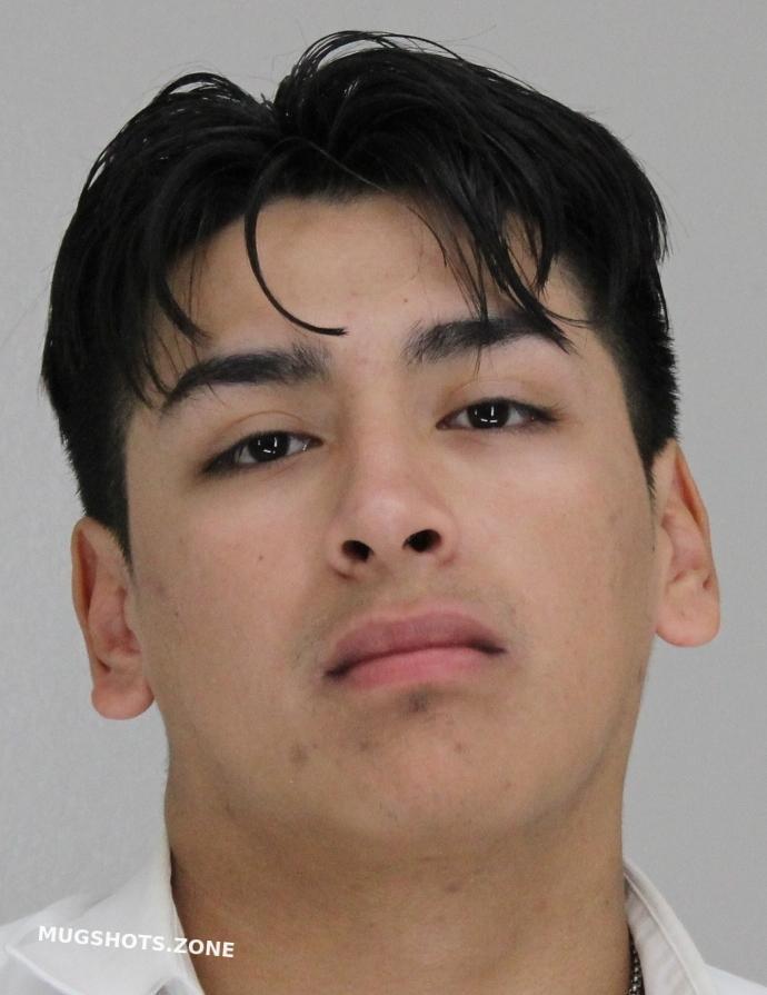 OVALLE SEBASTIAN 04/20/2025 - Dallas County Mugshots Zone
