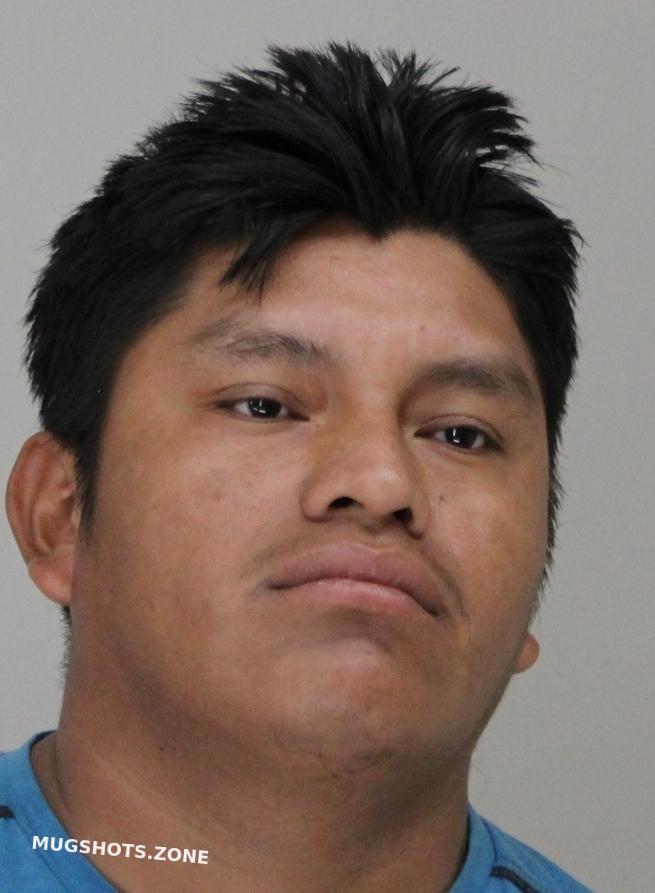 TZIBCAN ERWIN 04/21/2025 - Dallas County Mugshots Zone