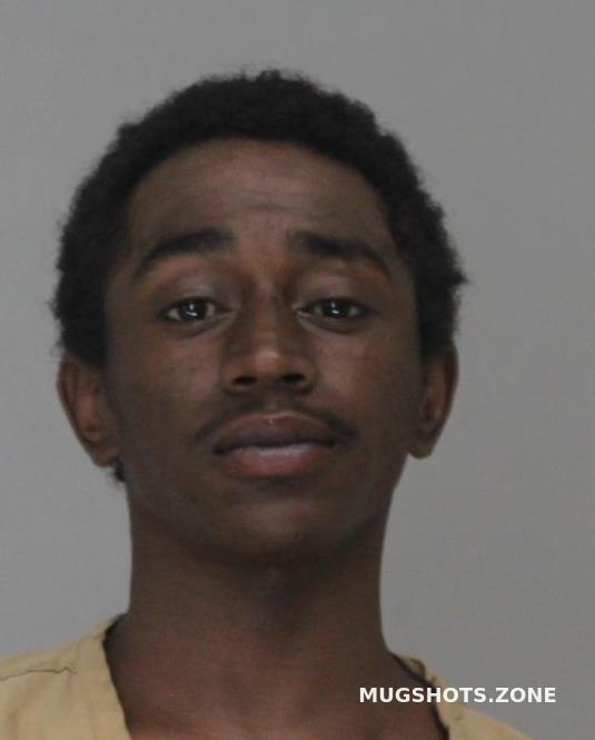 KELLEY ROLDAN 04/22/2025 - Dallas County Mugshots Zone