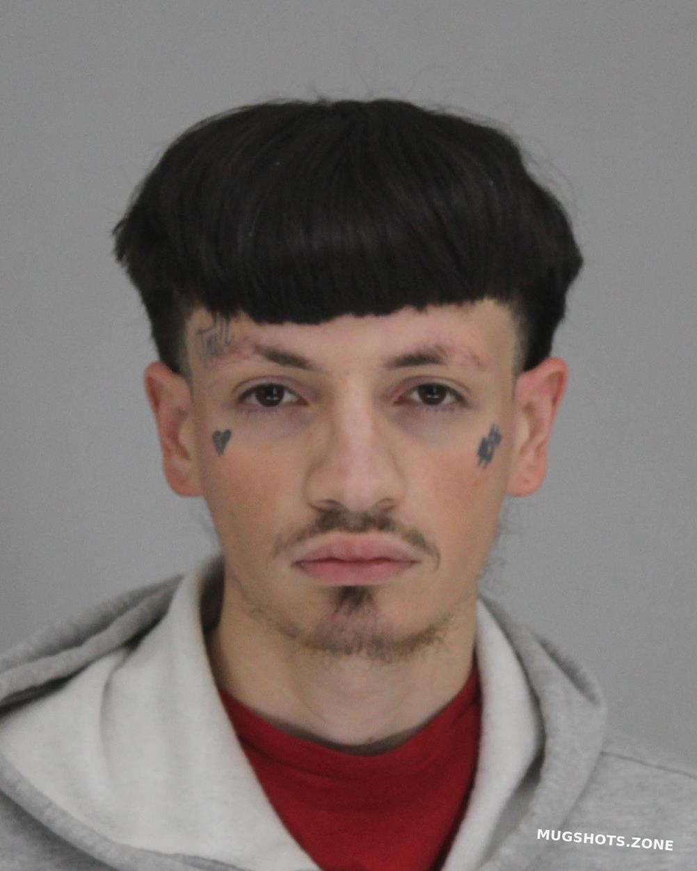 Behm William 04 26 2025 Dallas County Mugshots Zone