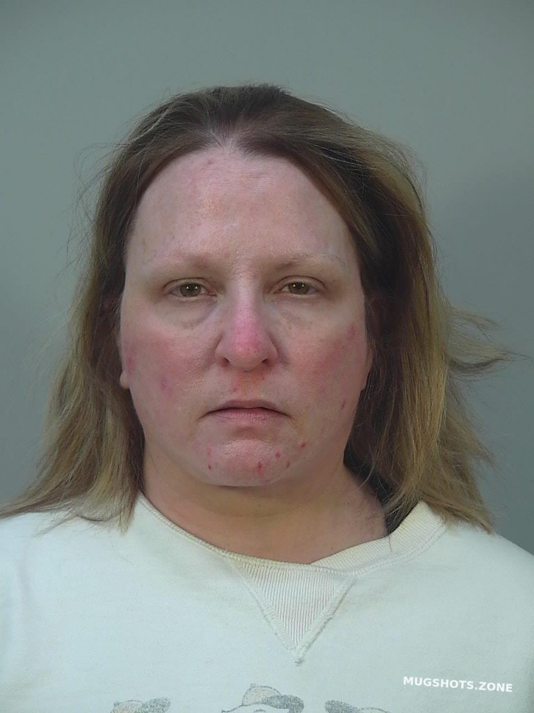 MASON TRACEY ANN 04/09/2021 - Dane County Mugshots Zone