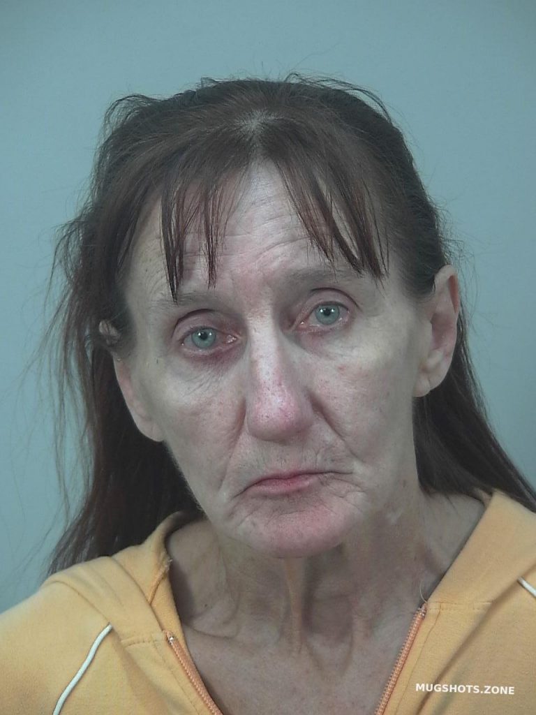 NELSON ROCHELLE RAMONA 04/29/2021 - Dane County Mugshots Zone