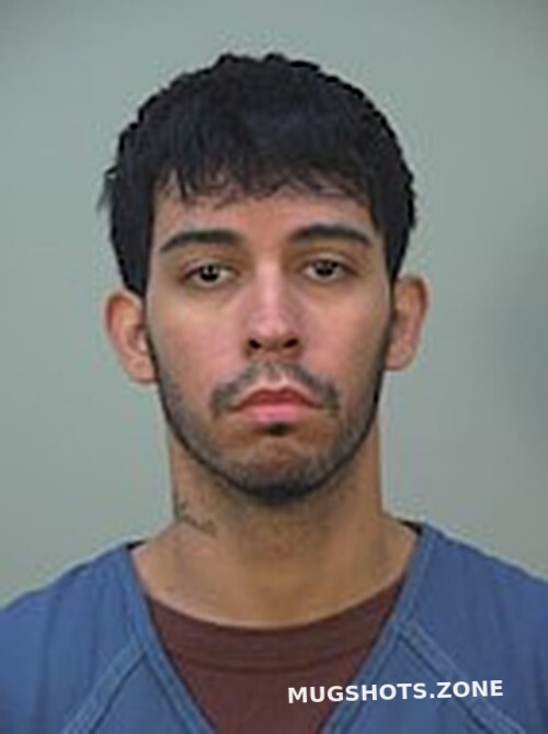 LUCIANO DAVID VINCENT 05/26/2021 - Dane County Mugshots Zone