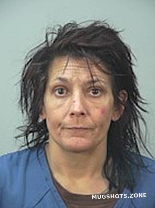 DELANEY RACHEL ANNE 06/15/2021 - Dane County Mugshots Zone