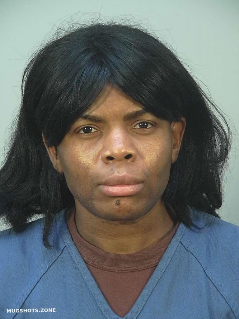 ROBERTS CHARLYN MAI 06/09/2022 - Dane County Mugshots Zone