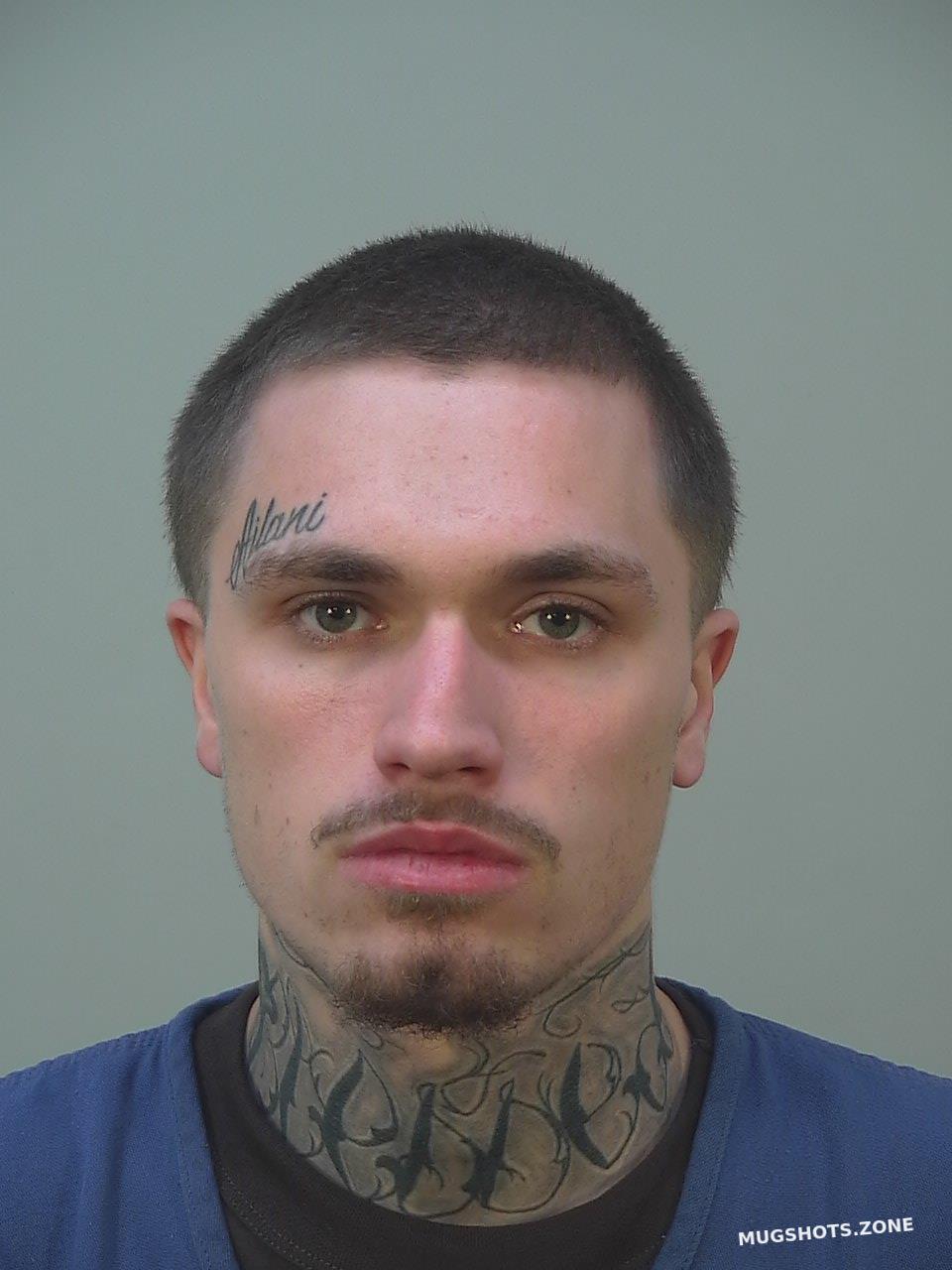 HOLSTEN TRENTIN GAUGE 11/09/2022 - Dane County Mugshots Zone