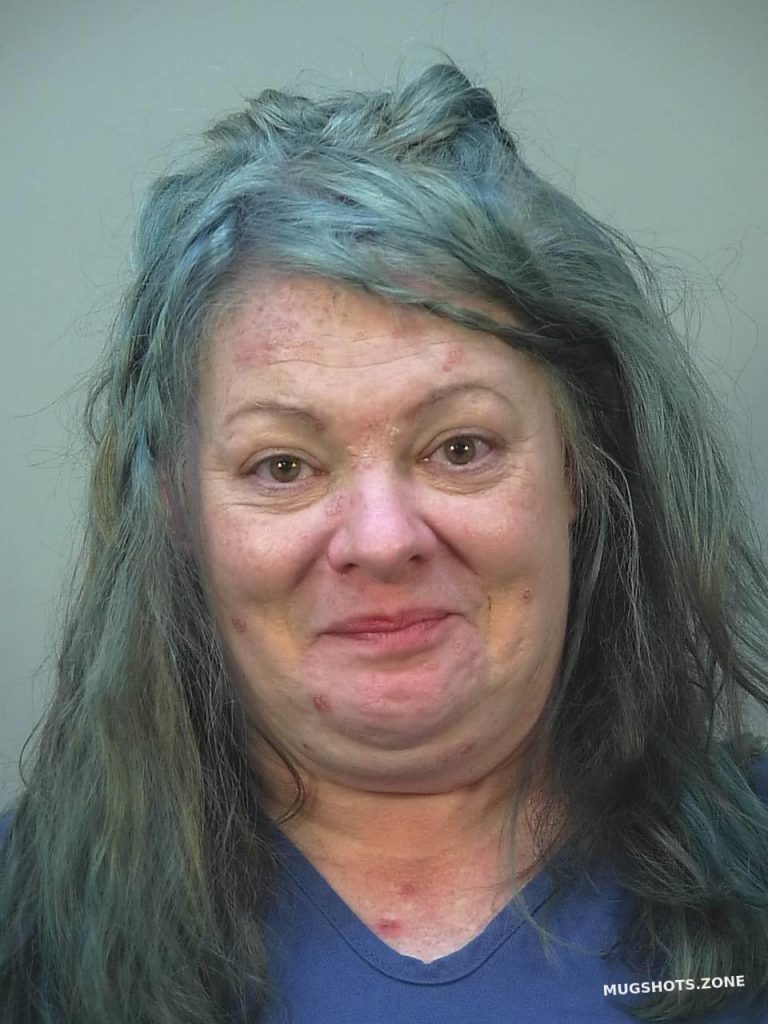 SCOTT BRANDY SUE 11/11/2022 - Dane County Mugshots Zone