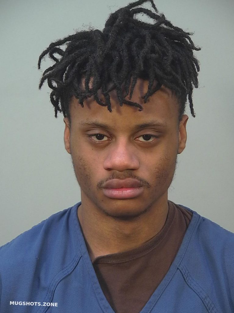 WEBSTER CHAVIS DAMARIS 11/30/2022 - Dane County Mugshots Zone