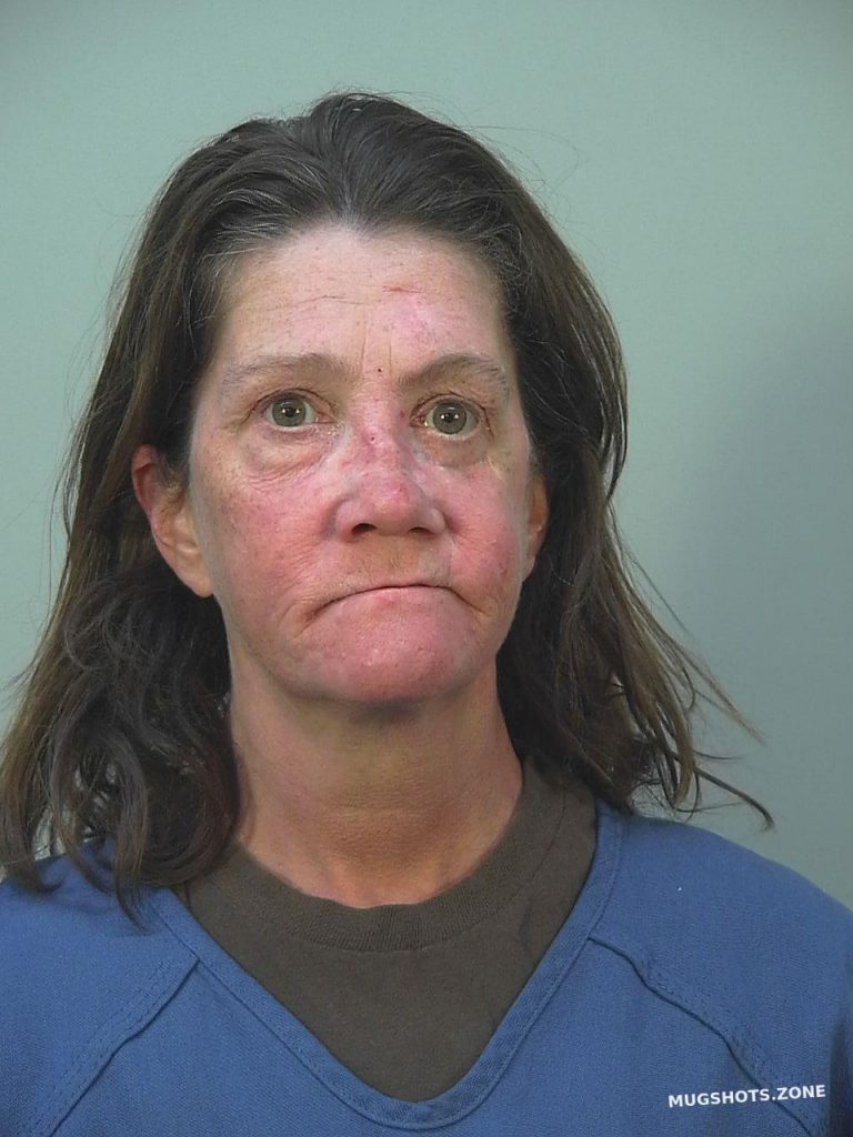 BRANDENBURG TAMELA LYNN 01/19/2023 - Dane County Mugshots Zone