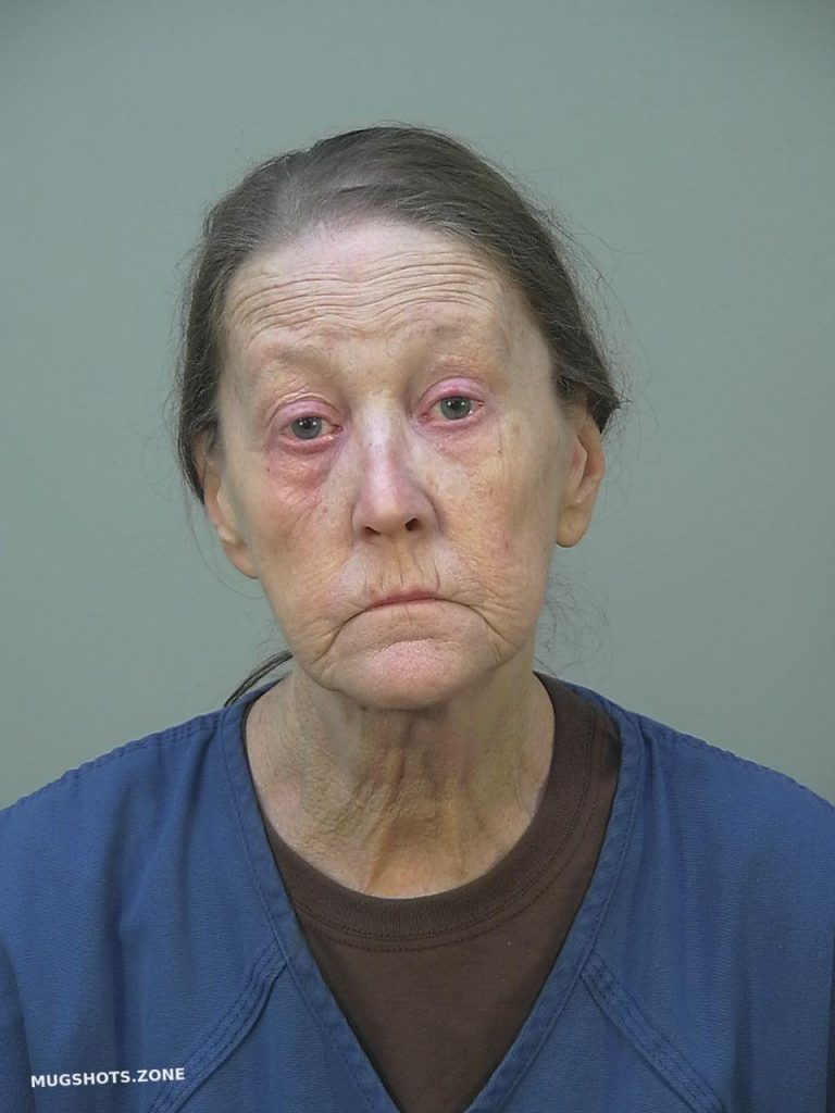 SWAN MCINTYRE MARY KAY 02/12/2023 - Dane County Mugshots Zone