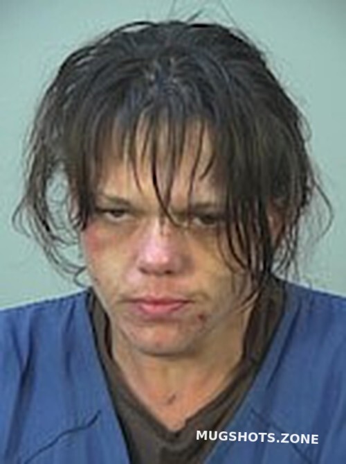 COLLINS ROBIN LYNN 02/24/2023 - Dane County Mugshots Zone