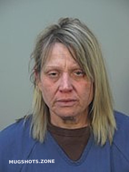 ANDERSON TRACY LYNN 03/29/2023 - Dane County Mugshots Zone