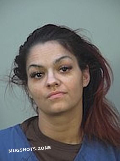 DOMINGUEZ MERCEDES MARIE 04/16/2023 - Dane County Mugshots Zone