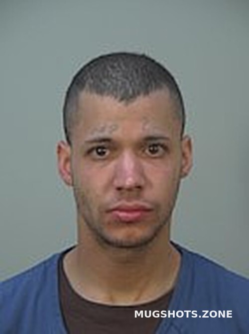 CARTAGENA MOLINA DAVID ELIJAH 05/16/2023 - Dane County Mugshots Zone