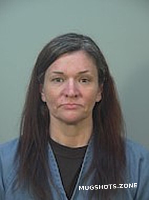 STELLING ANN COLLEEN 06/01/2023 - Dane County Mugshots Zone