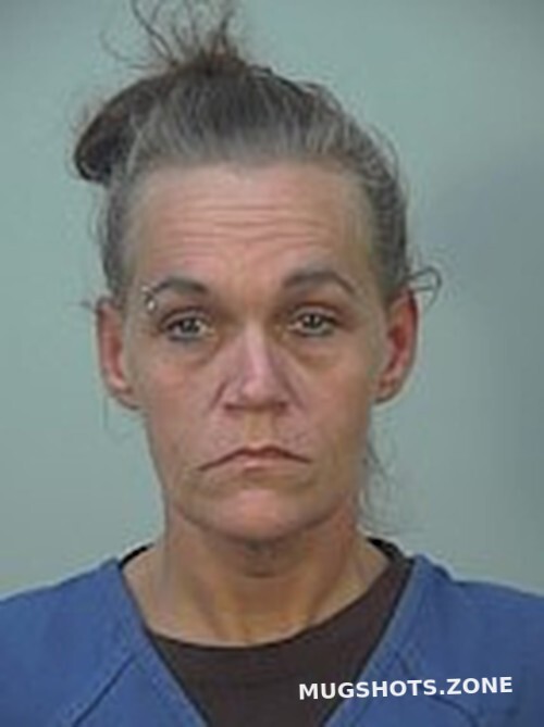ANDERSON BRENDA LEE 06/01/2023 - Dane County Mugshots Zone