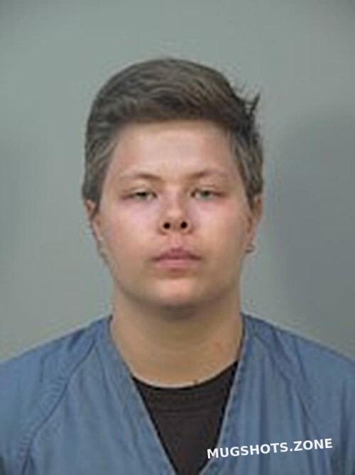 WILD ANASTASIA MARIA 08/03/2023 - Dane County Mugshots Zone
