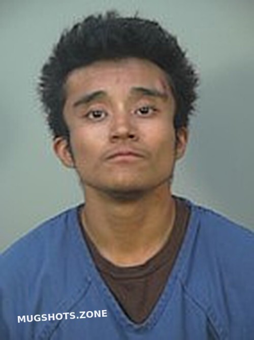 PINEDA AME N/A 09/04/2023 - Dane County Mugshots Zone