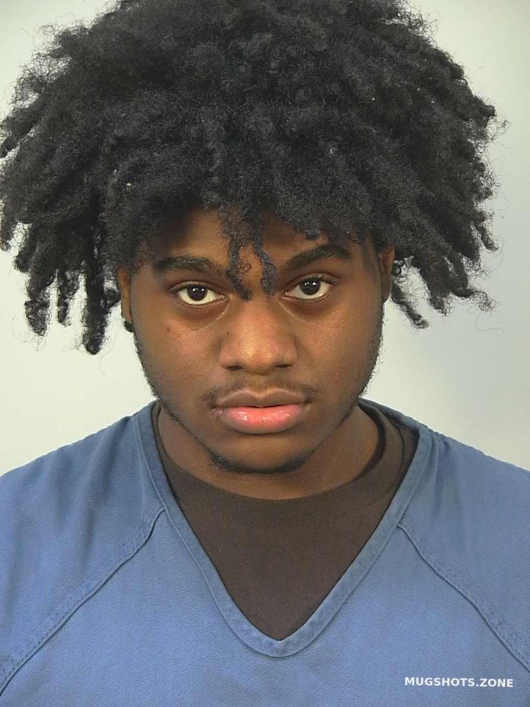 BROWN TYESHAWN TREAVON 09/11/2023 - Dane County Mugshots Zone