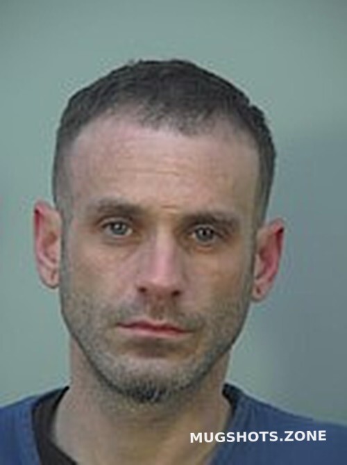 MEGIS STEVEN ALEXANDER 10/09/2023 - Dane County Mugshots Zone